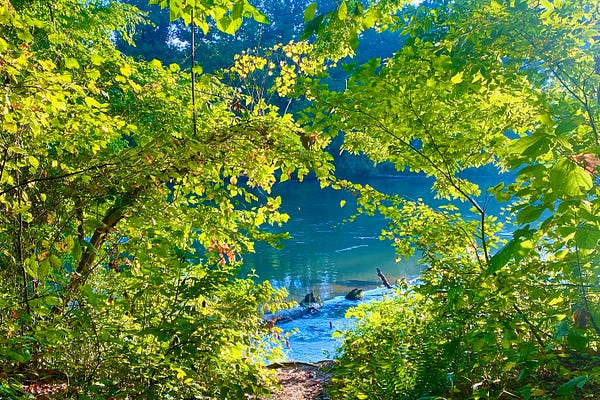 The Half Marathoner | Terrell Johnson | Substack