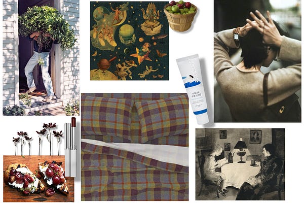 Ella’s Archive | Substack