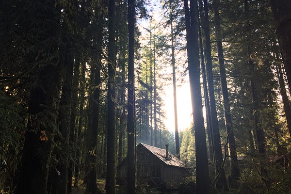 Fog Chaser | FogChaser | Substack