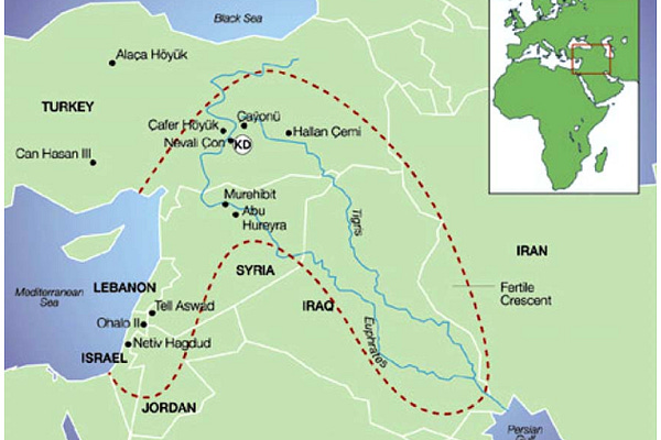 Cap Finance | Linh Cap | Substack