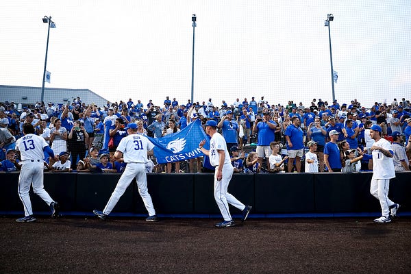 Bat Cats Central | Derek Terry | Substack