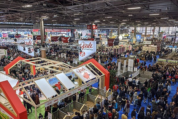 The French Dispatch | Julien Hoez | Substack