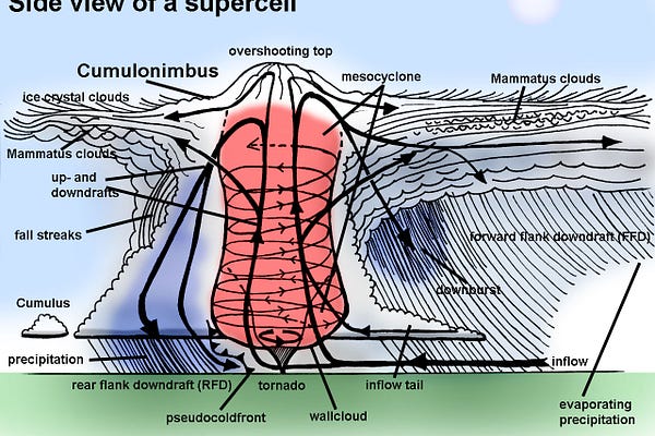 Mr. and Mrs. Psmith’s Bookshelf | Jane Psmith | Substack