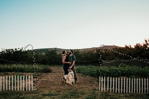 The Elliott Homestead Newsletter | Shaye Elliott | Substack