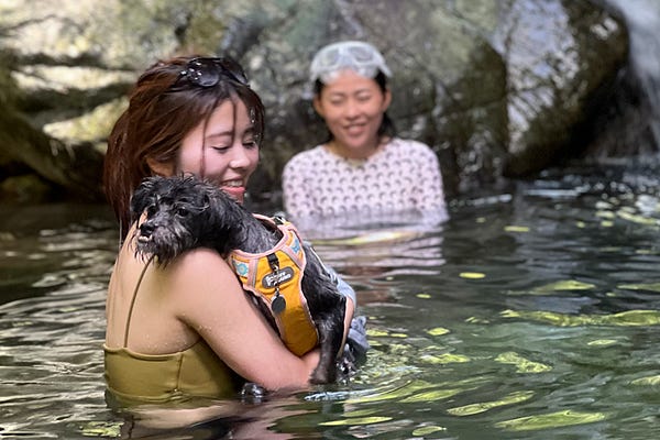 Following the yuan | Yaling Jiang | Substack