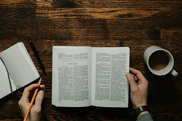 Jardín Mental | Álvaro García | Substack