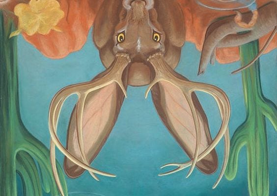 Mystery Cult with Amanda Yates Garcia | Substack