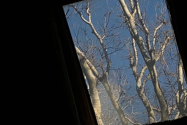 Team McComas | Wade McComas | Substack