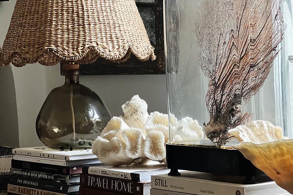 For The Curious | Ali Heath | Substack