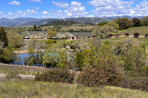 Earthling | Lindsay Stripling | Substack