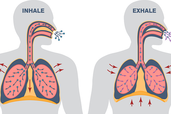 ScienceDaily Newsletter | Substack