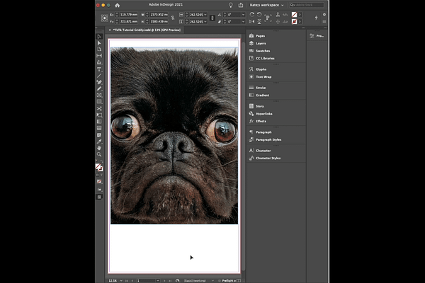 Ctrl & Shift | Kate Silver | Substack