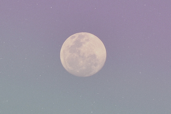 SARAH PROUT | Substack