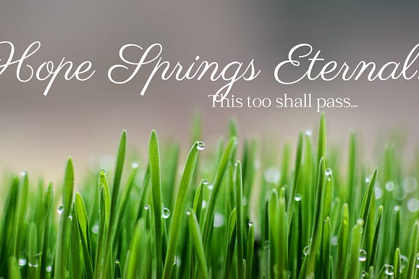 Lorraine’s Substack | Lorraine Flood | Substack