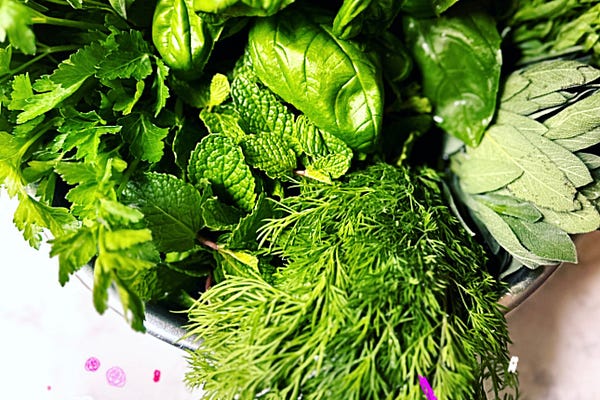 The Department of Salad: Official Bulletin | emily nunn | Substack