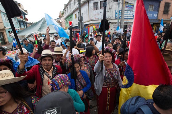 Pimlico Journal | Substack