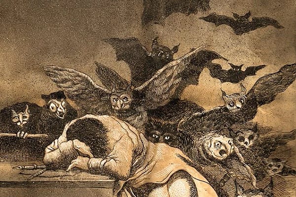 Through A Glass Darkly | Cynthia Chung | Substack