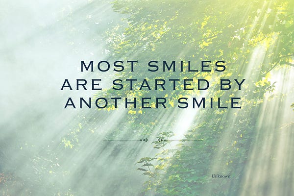 Everyday Knitter | Louise Tilbrook | Substack