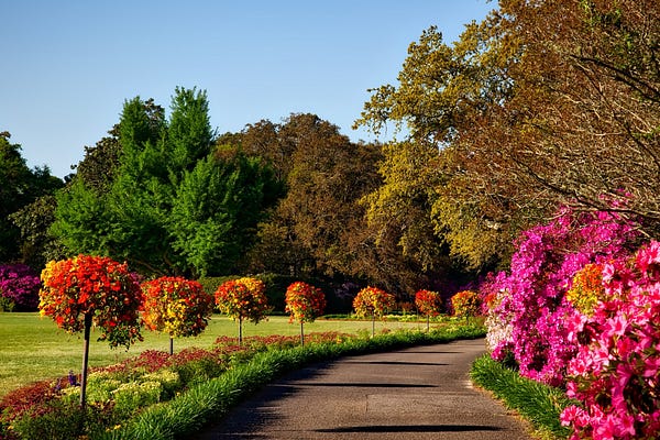 Signos Vitales | Sergio Sosa | Substack