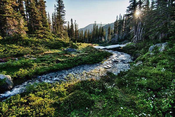 Coding Challenges | John Crickett | Substack