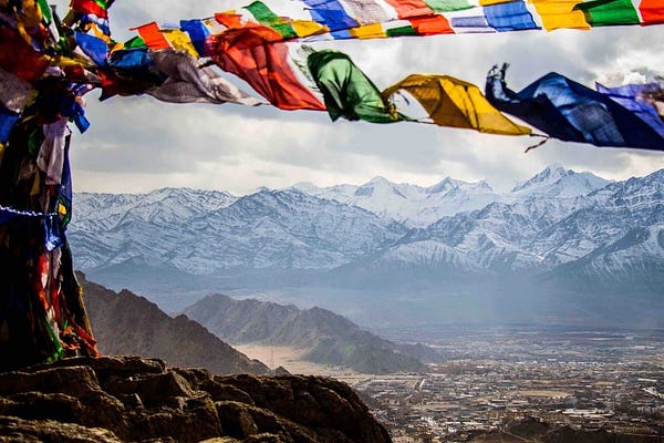 Radiant Frequency | Jennifer | Substack