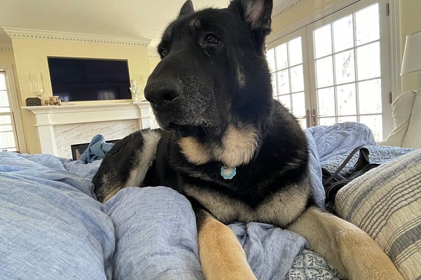 J.F. Riordan; Reflections on a Life in Exile | J. F. Riordan | Substack