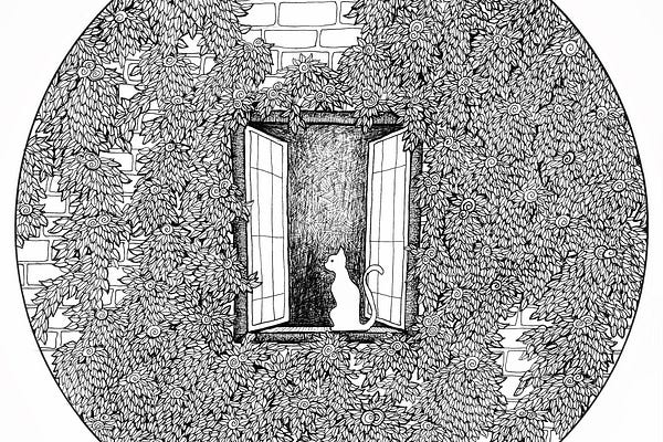 Jenny’s Substack - Let's art together | Jenny Lawson (thebloggess) | Substack