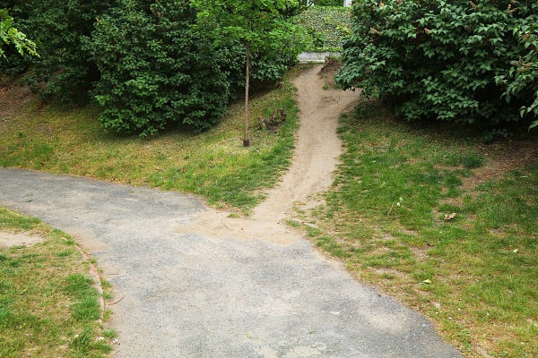 Sherman Alexie | Substack