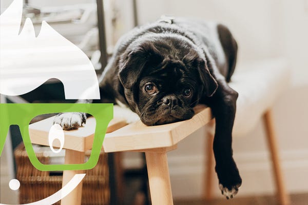 Évidences | David Vellut | Substack