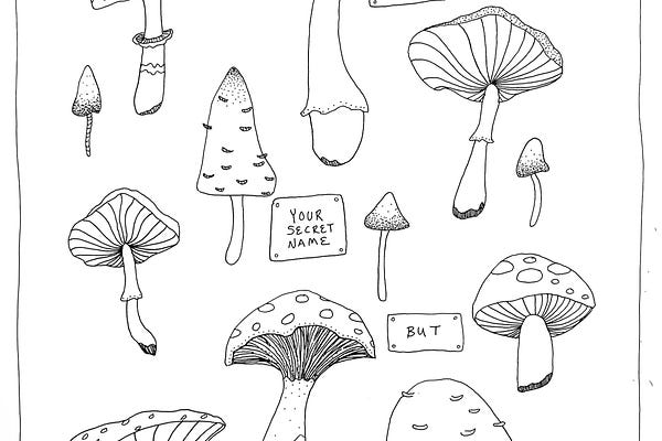 Jenny’s Substack - Let's art together | Jenny Lawson (thebloggess) | Substack