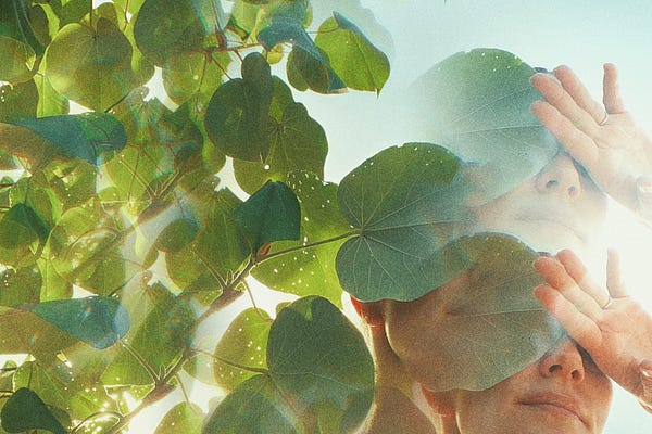 Sarah Blondin | Substack