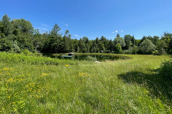 The Deliberate Practice | Jeremy Barr | Substack