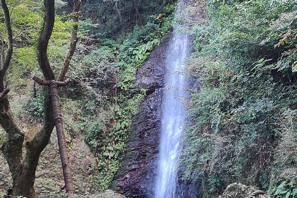 Hidden Japan | Leon | Substack