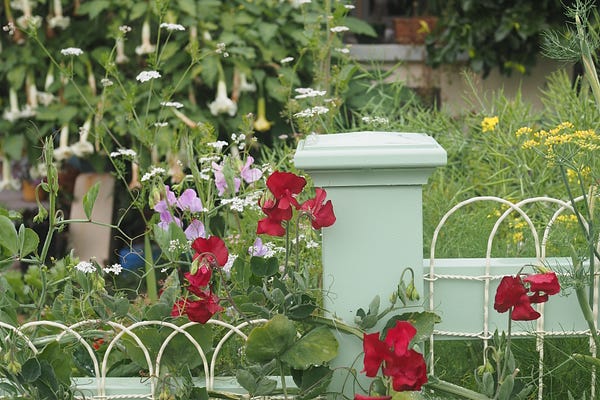 lofi life | Casey Lister | Substack