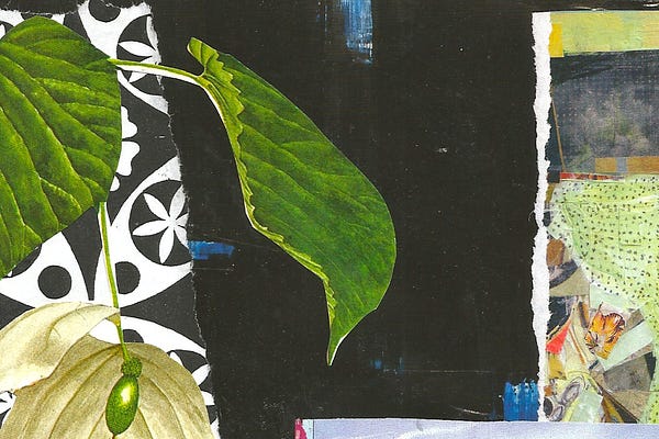 DEPTH CREATIVITY | Shelley Klammer | Substack