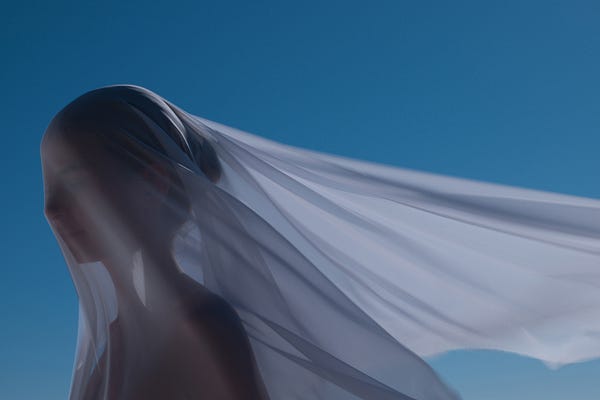 A Writer's Notebook | Summer Brennan | Substack