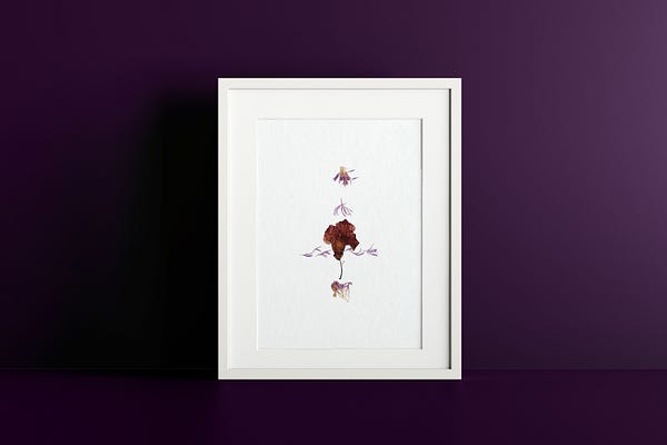 Starhan Garden | Substack