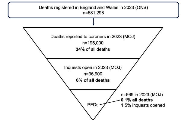 Preventable Deaths Tracker | Dr Georgia Richards | Substack