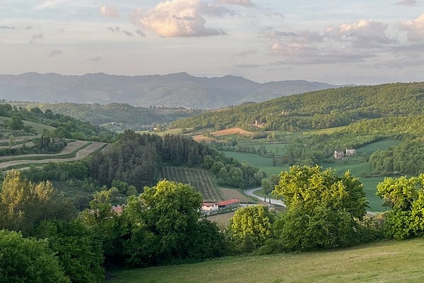 Eat This, Drink That, Live Well | Fiona Beckett | Substack