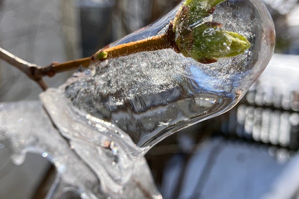 Heart Before the Course | Abbey von Gohren | Substack