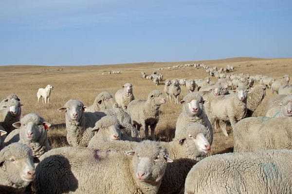 By Green Pastures | Dennis Gladden | Substack