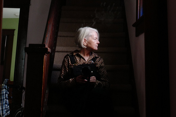 Dispatches From The Shed | Lyn Slater | Substack