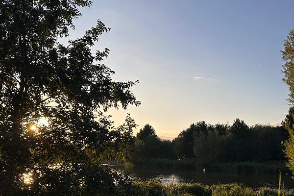 Slower Space | Jodie Melissa Rogers | Substack