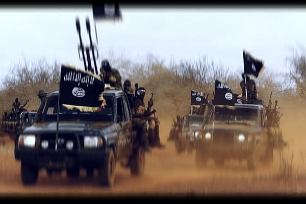 Militant Wire | Substack