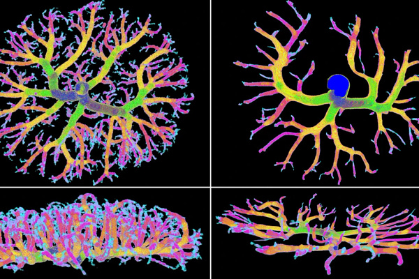 Life, explained | Simona Cristea | Substack