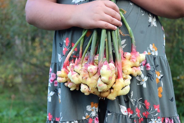 Practical Self Reliance | Ashley Adamant | Substack