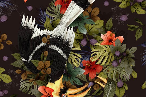 Creative Cocoon | La Scarlatte | Substack