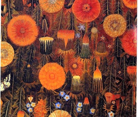 Earthling | Lindsay Stripling | Substack