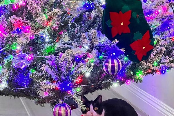 Cruel Summer Book Club | Jillian Anthony | Substack