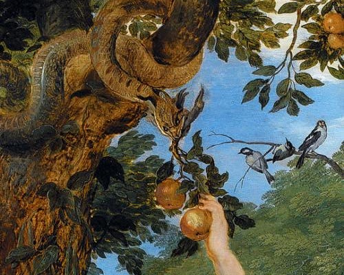 Richard’s Substack | Richard Pettigrew | Substack